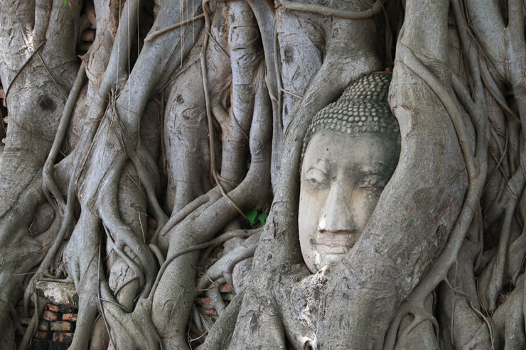 Wat Mahathat (Mahathat Temple) - Go Ayutthaya
